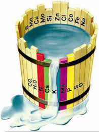 Maximizing Agricultural Production With Balanced Fertilizer Program