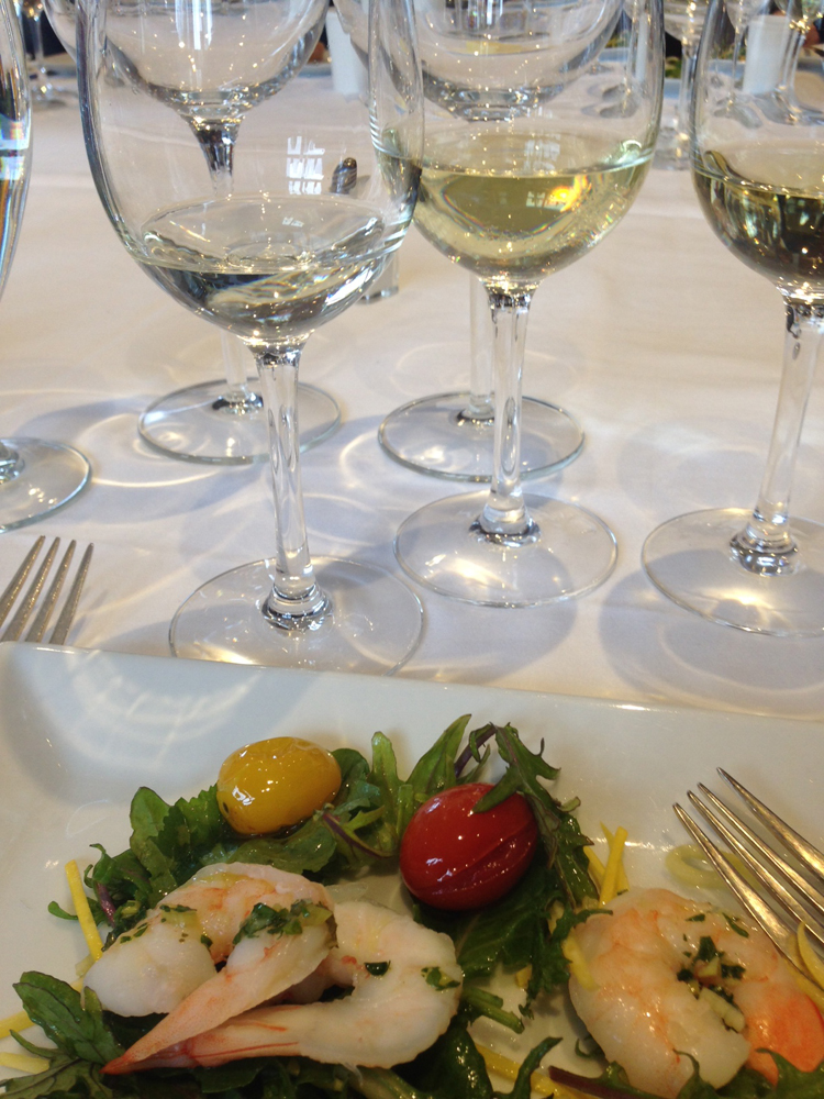 vigna uva vino: GOTG First Look Series: Barollo Wines