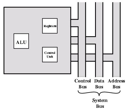 Computer Architecture & Language: Input and Output Bus