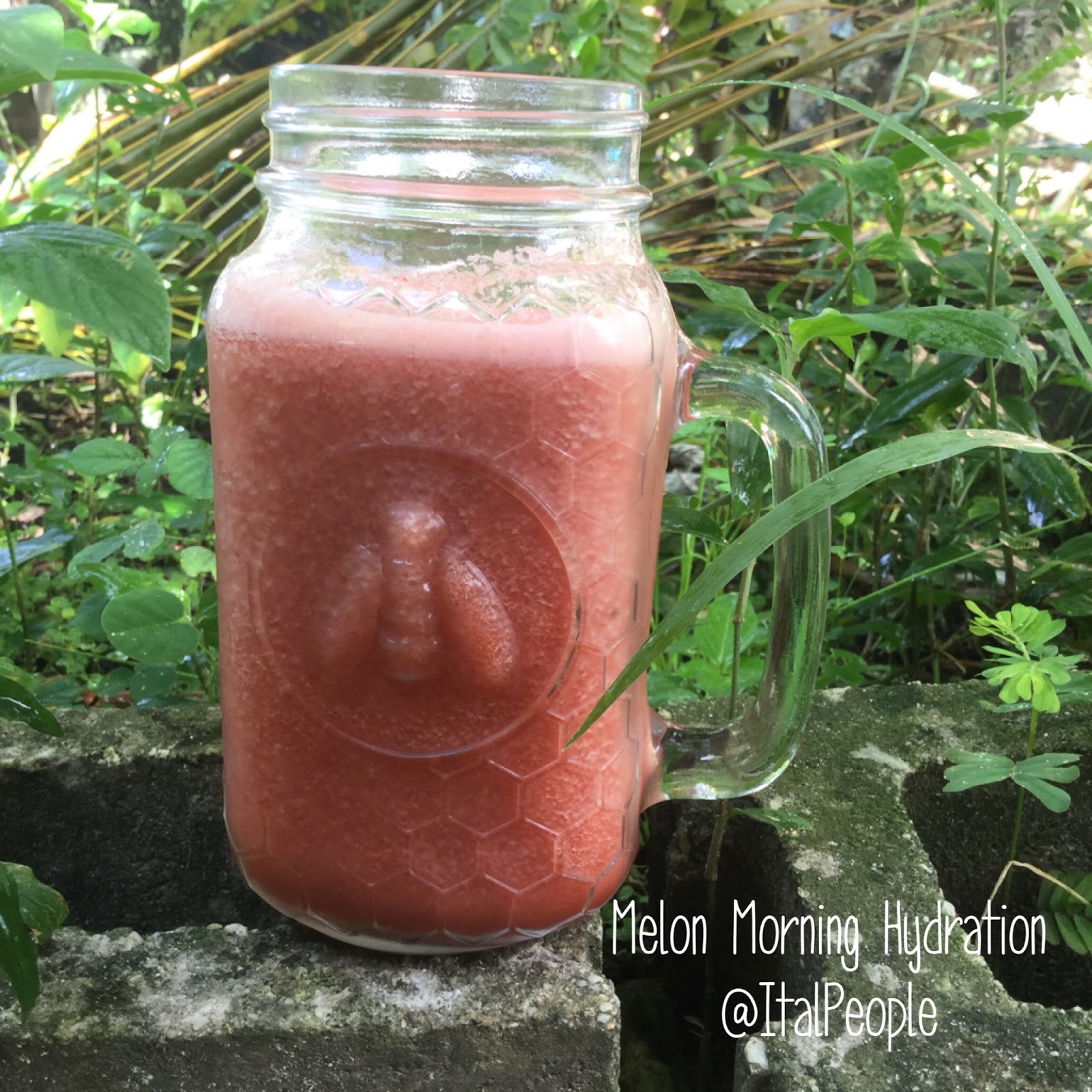 Ital People: Melon Morning Hydration