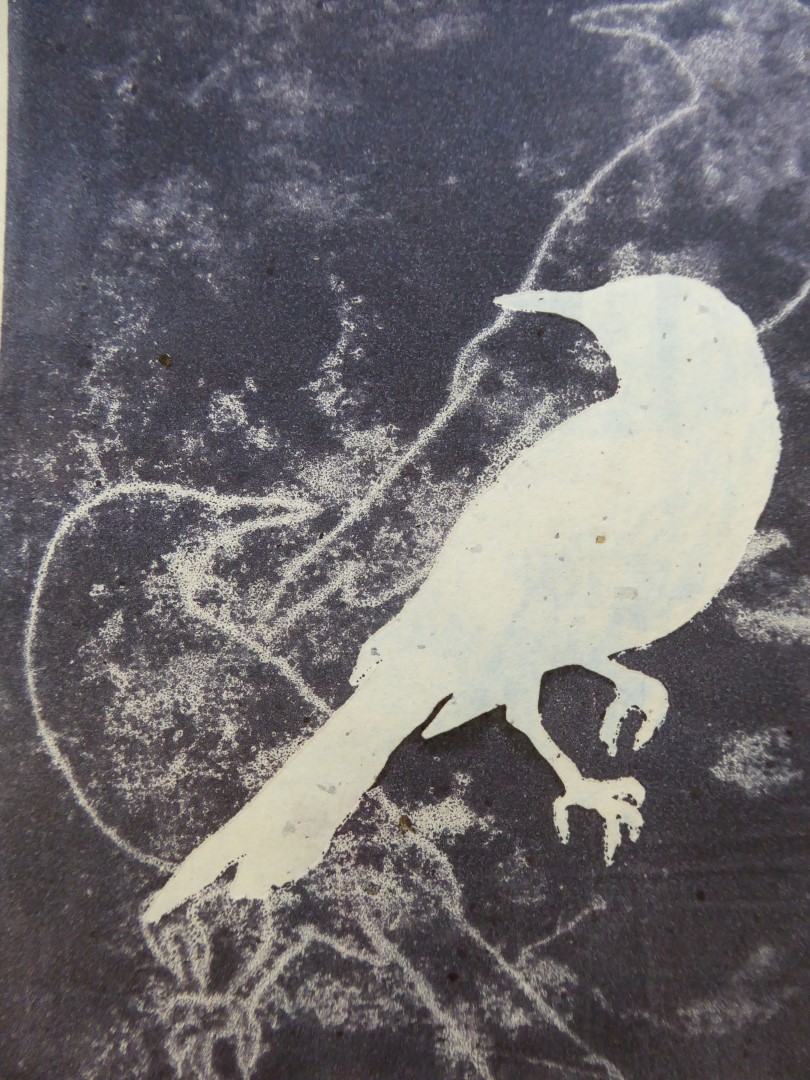 Sandra Pearce: Playing with Monotypes