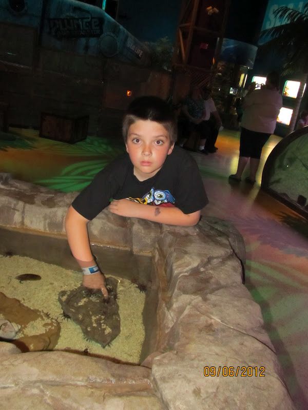 Kellen and Ethan's Blog