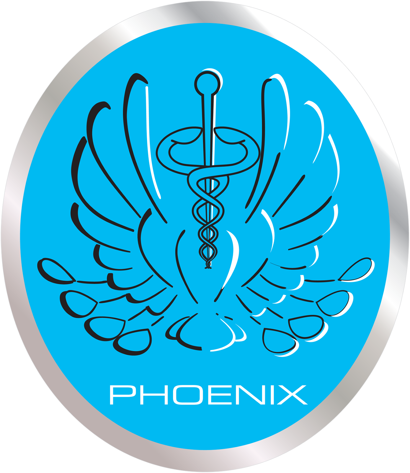 Phoenix Medical System: Company History