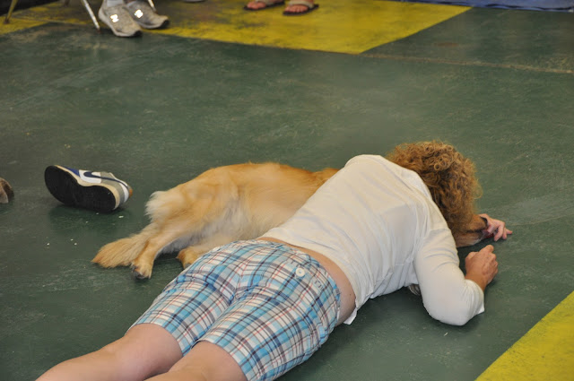 ECAD Service Dogs: Lu and Shannon Demonstrate a Narcolepsy Response Dog