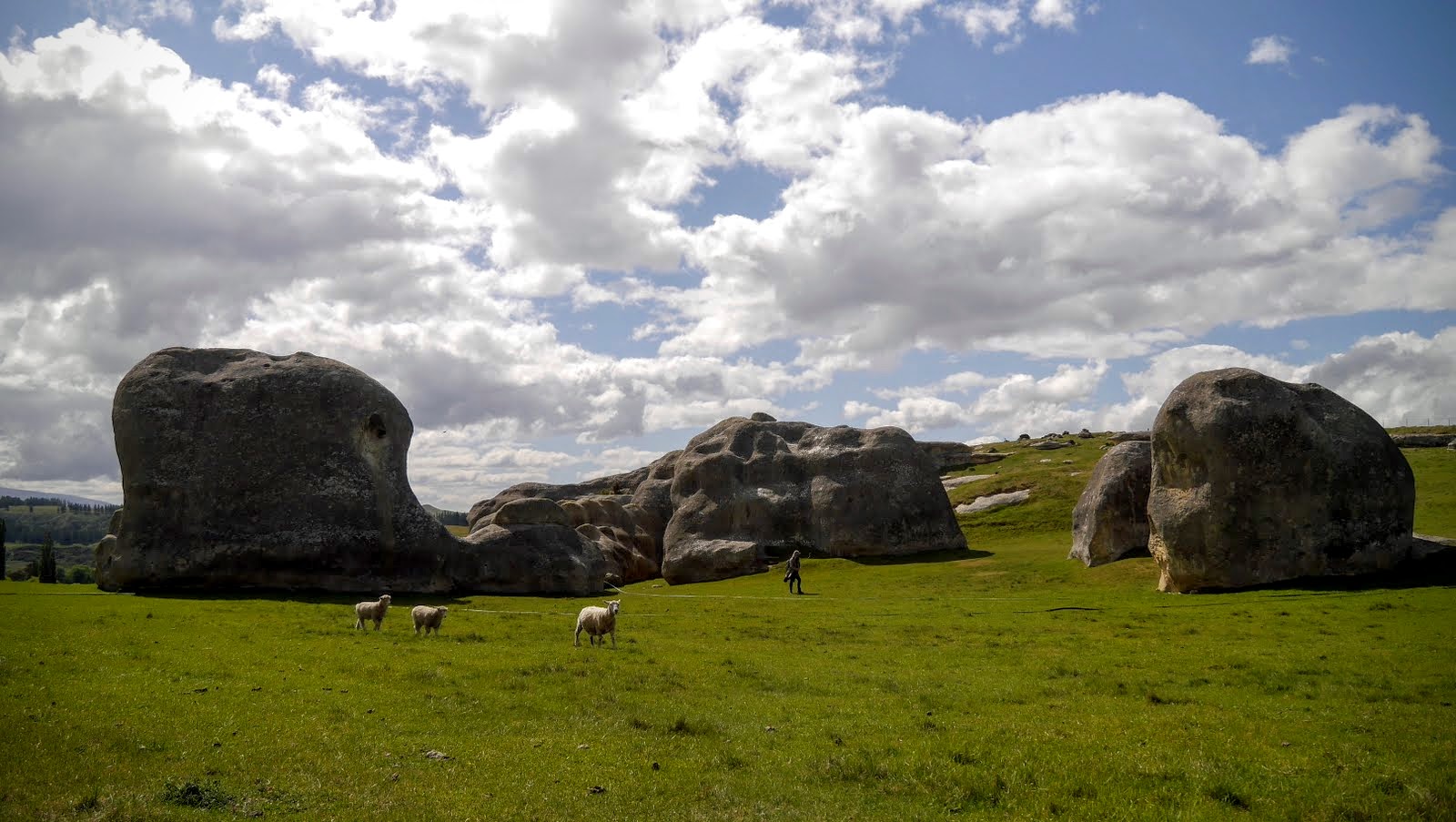 【紐西蘭南島】Day5(2) 奧瑪魯(Oamaru)：象岩群( Elephant Rocks) 與維多利亞白石鎮 (Whitestone ...
