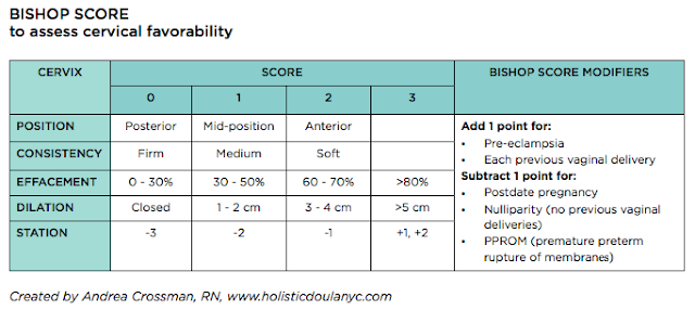 tales of a nulligravida: Simple Math: The Bishop Score and Optimal ...