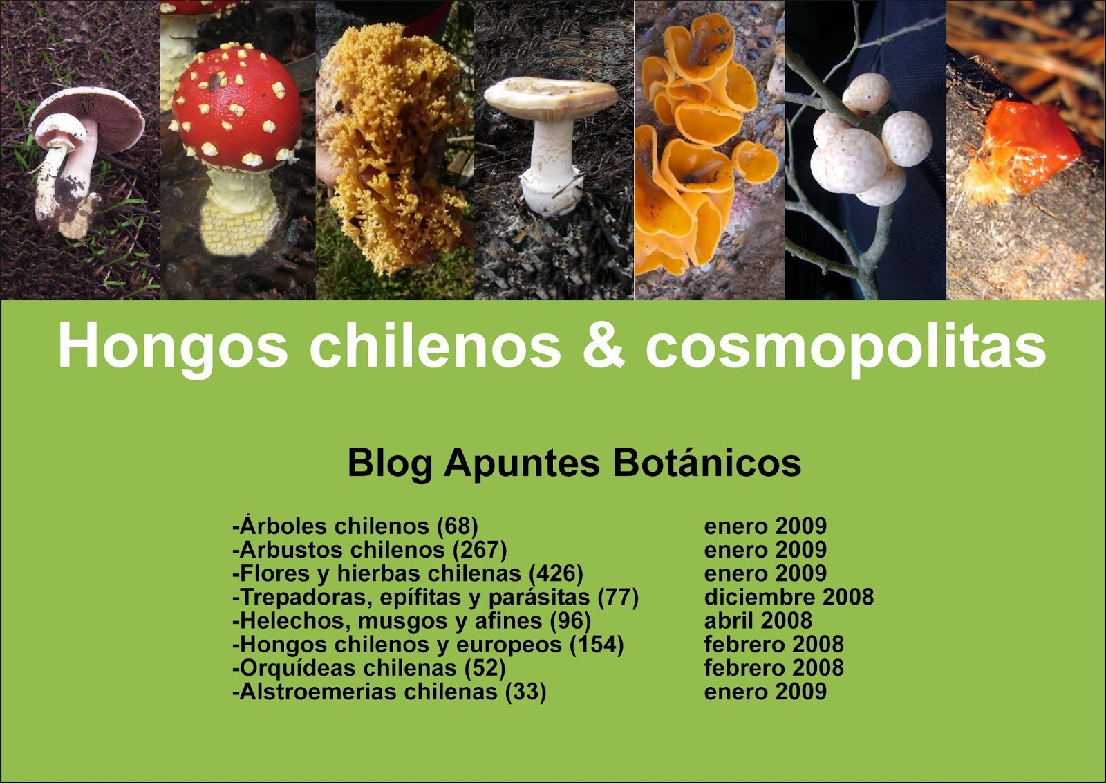 Apuntes botánicos: Hongos chilenos