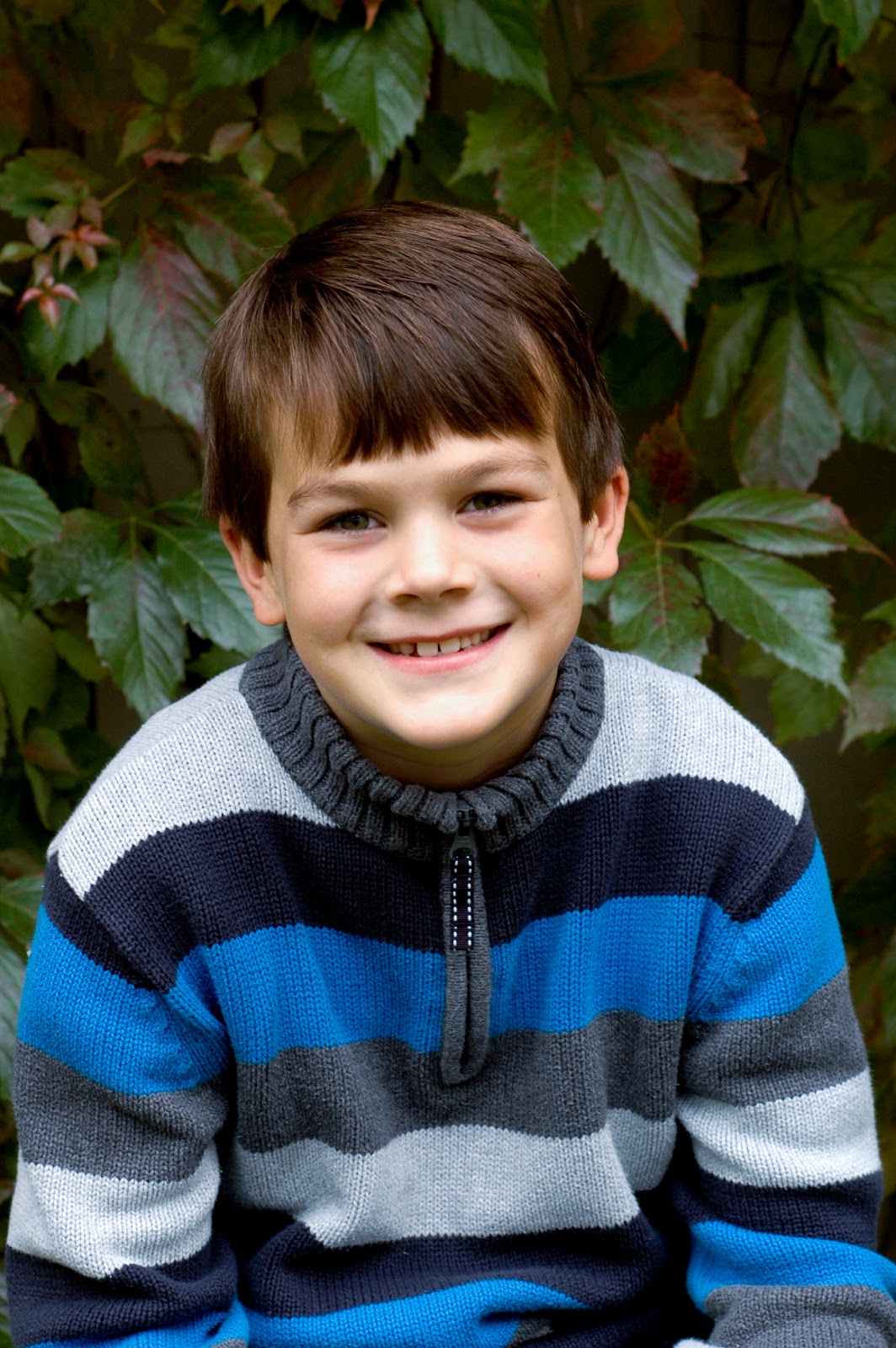 The Fox and the Hounds: Liam boy