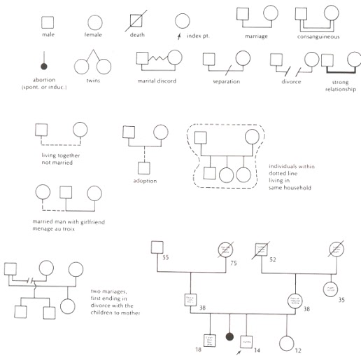 Anti-Remed with MECO MMSA: Skills Lab Blok 7 : Genogram