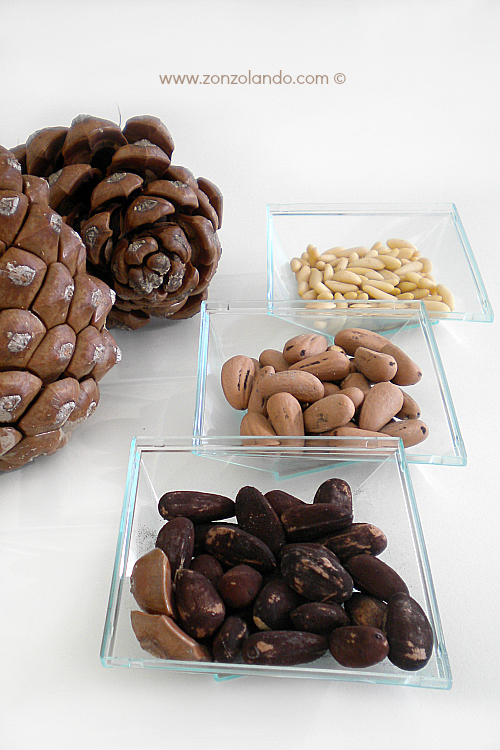 Storia di un pinolo | Zonzolando