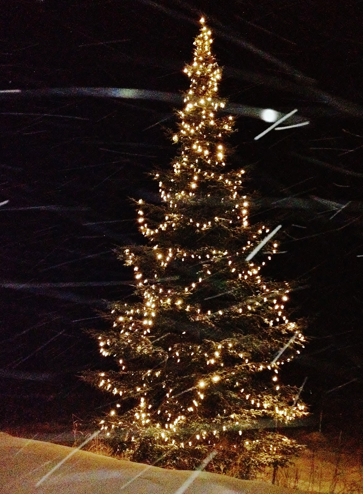 Gunflint Trail Magic Christmas Tree - Tuscarora Lodge & Canoe Outfitters