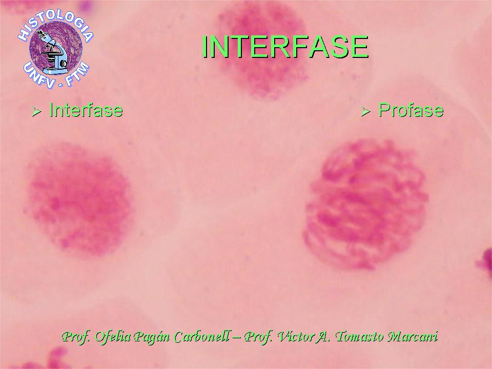 BLOG BIOLOGÍA Y GEOLOGÍA