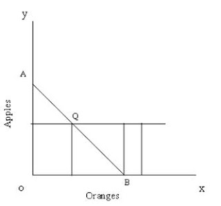 Substitution, Income and Price Effect - Oscar Education/Economics