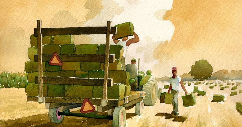 An Elliptical Glory: Means of Grace (Proper 6A)