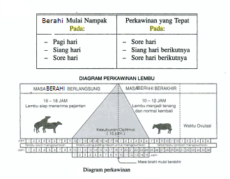 Sapi Perah: Juni 2015
