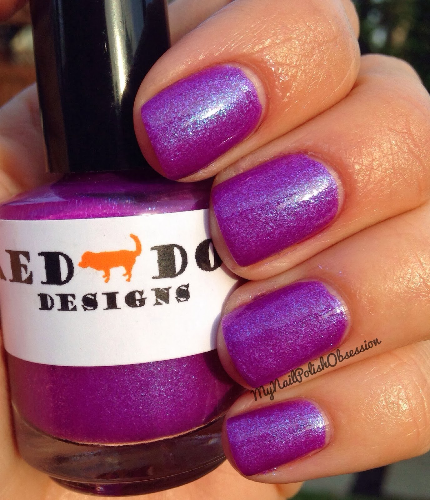 My Nail Polish Obsession: Red Dog Designs Samples