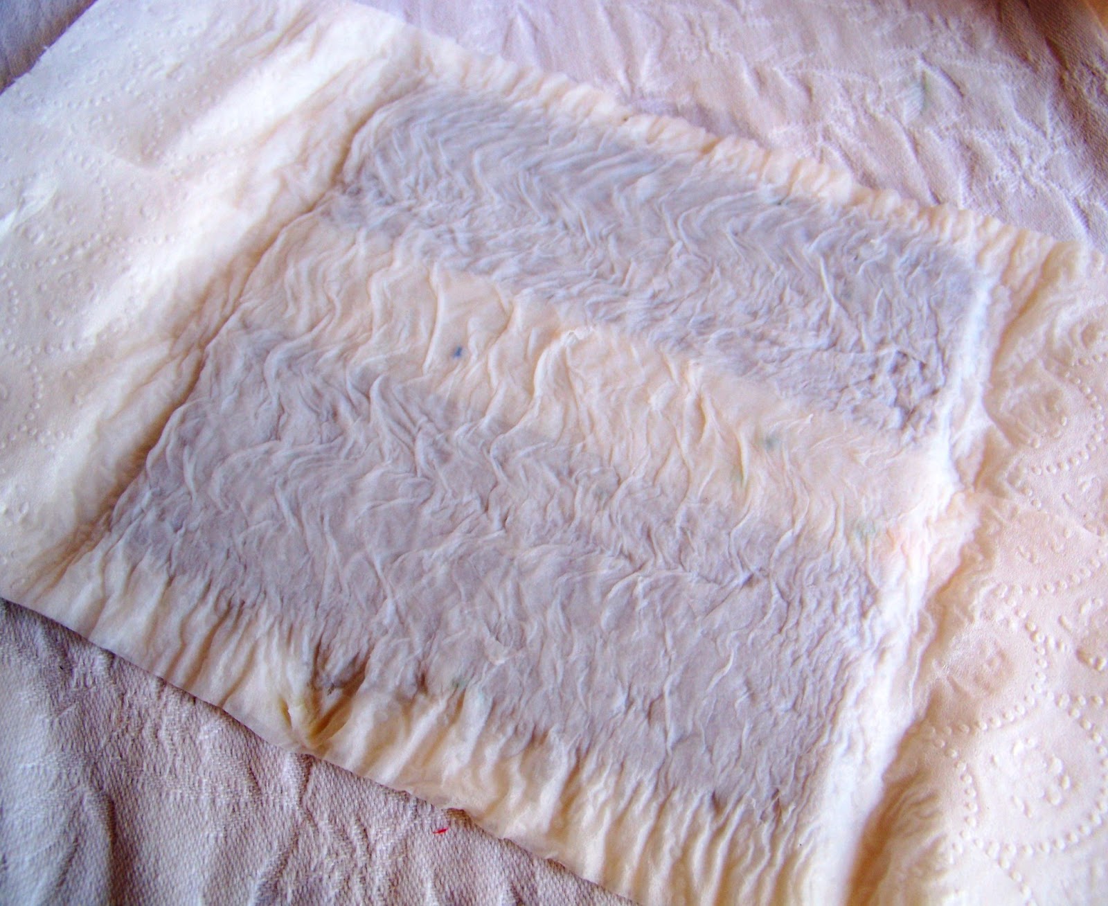 Eclectic Paperie: Toilet Paper Art