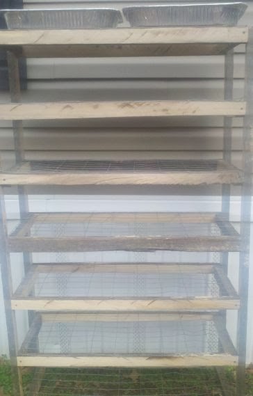 Countrified Hicks: Growing Fodder for your Farm Animals