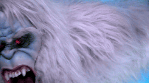 I Loved the Yeti: 2015 Yeti Year in Review