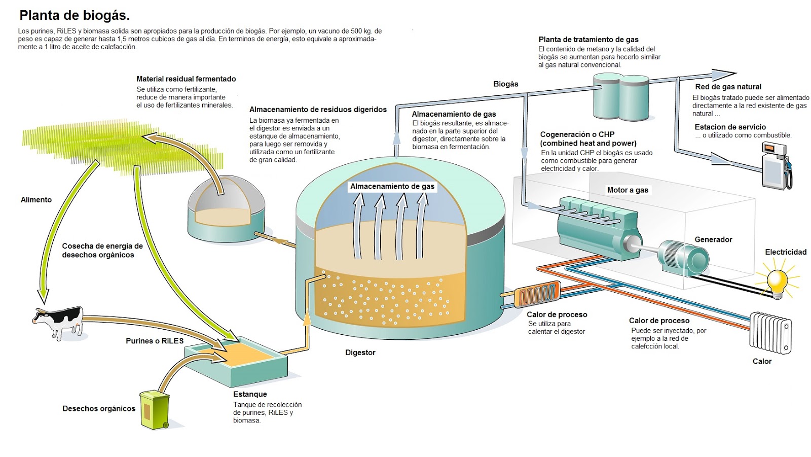 Blog do Colégio Evangélico do CEEDUC: Biogás