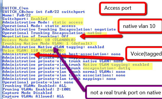 Voice VLAN - CCNA Voice lab