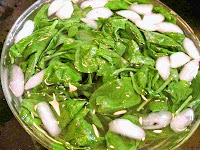 Recipes for Tom: Horenso no namuru / spinach namul salad (garlic flavor)
