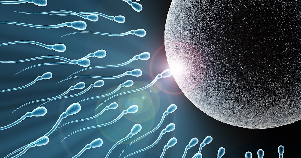 SUTE XVI SECTOR: ¿QUE ES LA VIDA?