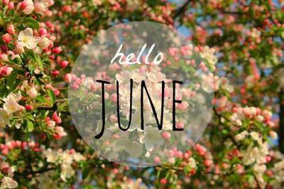 Dear Month of June - Arrows