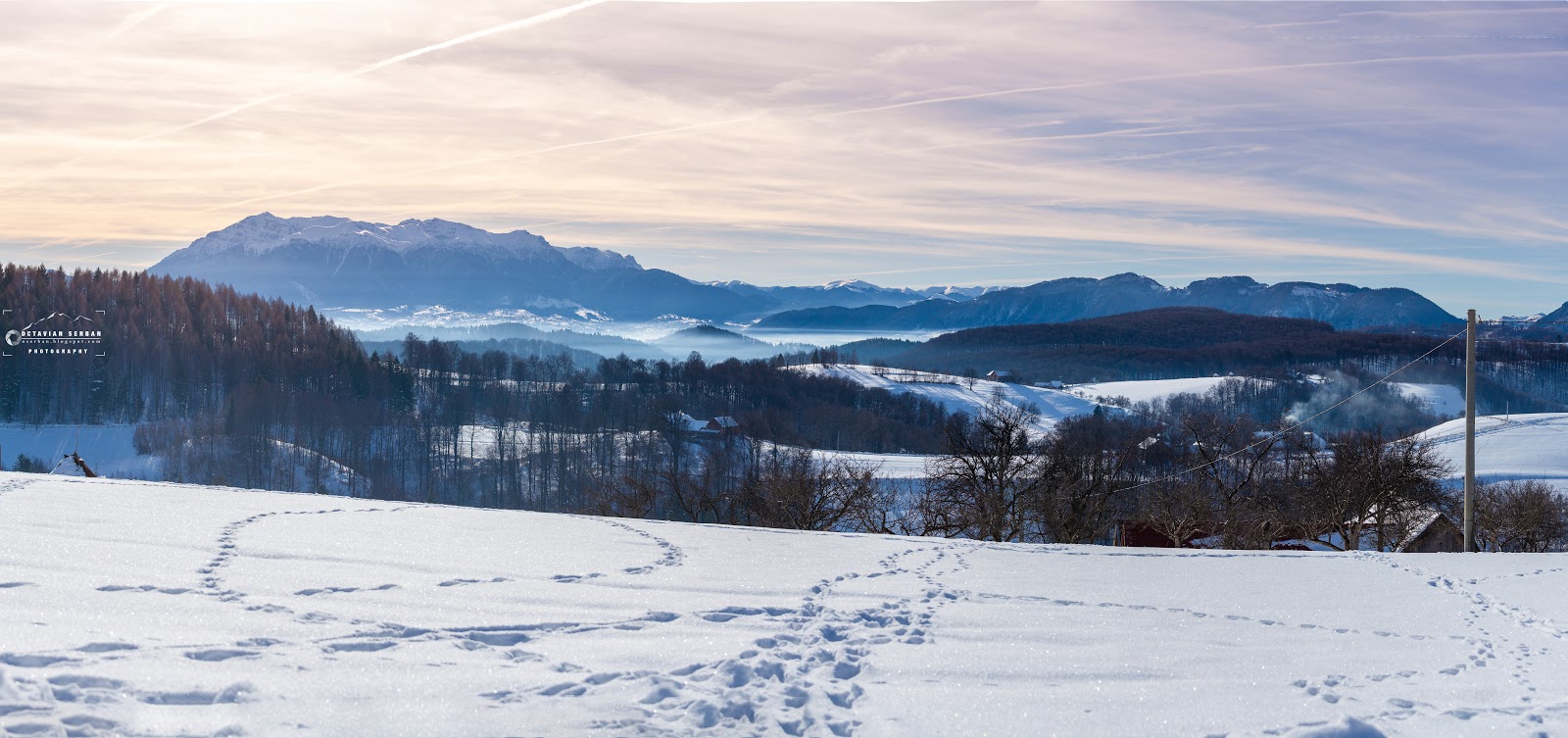 Octavian Serban: Poiana Marului Village...