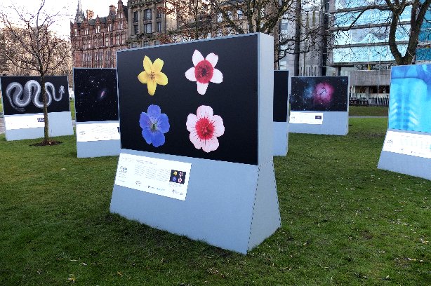 Angel Photo Workshops: Invisible Worlds open air free photo exhibition ...