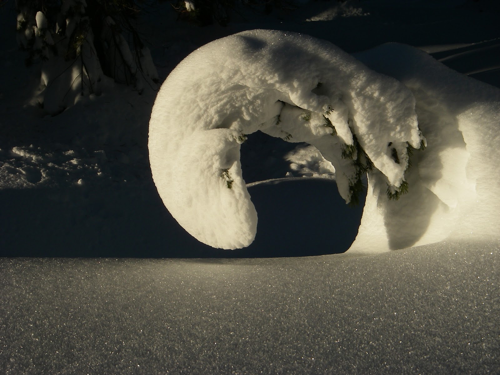 Veggie Voyagers: Magical Snow Creatures