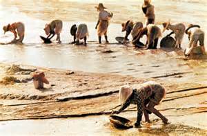 Anjang Blog: Ada lagi aktiviti Melombong di tengah bandaraya Ipoh...