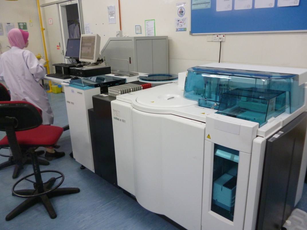 Medicine Newbie: Amenorrhea