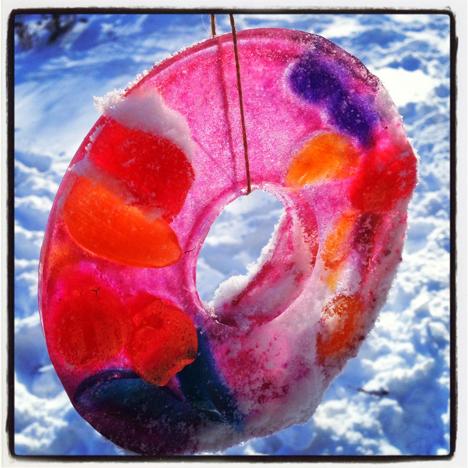 The Blue Barn: Ice sun catchers