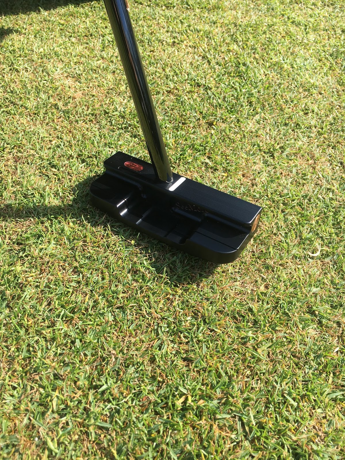 Ottawa Golf Blog: Putter Review: SeeMore Mini GIANT Deep Flange Black ...