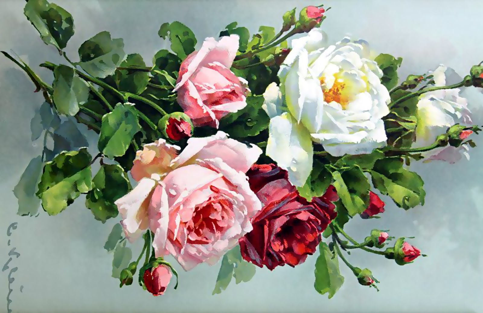 Vintage Art Roses Group Prints Postcard | Joy Design Studio