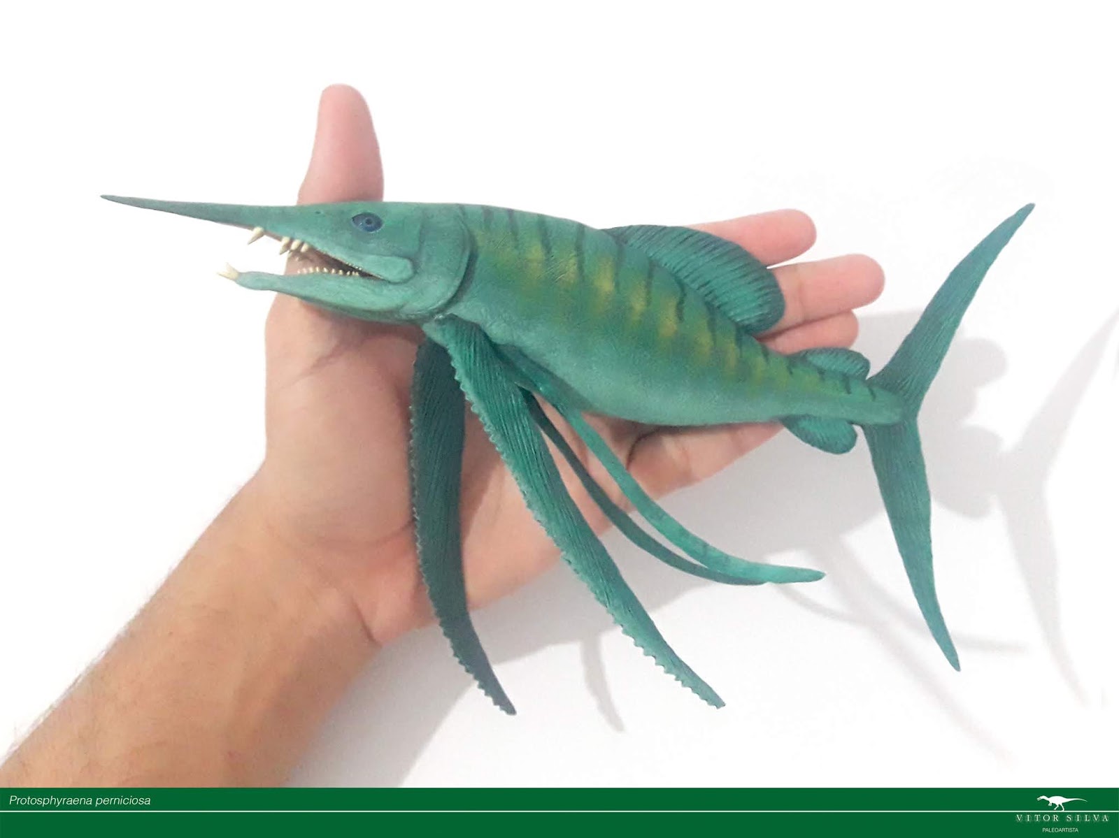 Vitor Silva - Paleoartista: Protosphyraena