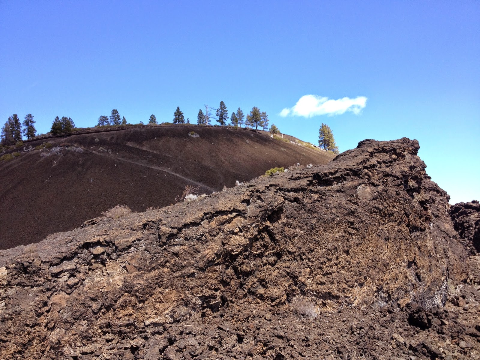 BB, Henri and Me: 4/26/14: Newberry National Volcanic Monument