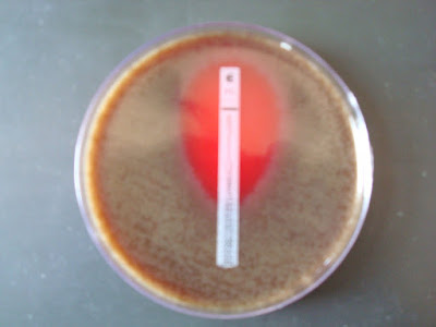 Biological Sciences: E-test