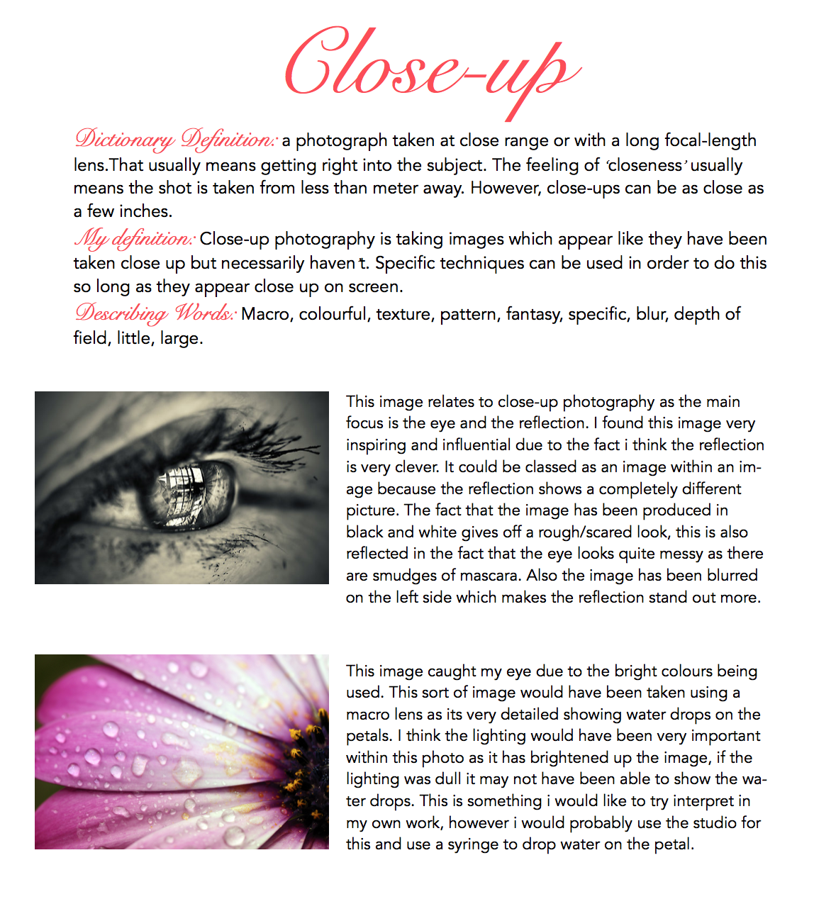 Grace Sykes A2 Photography: Definition- Close-up