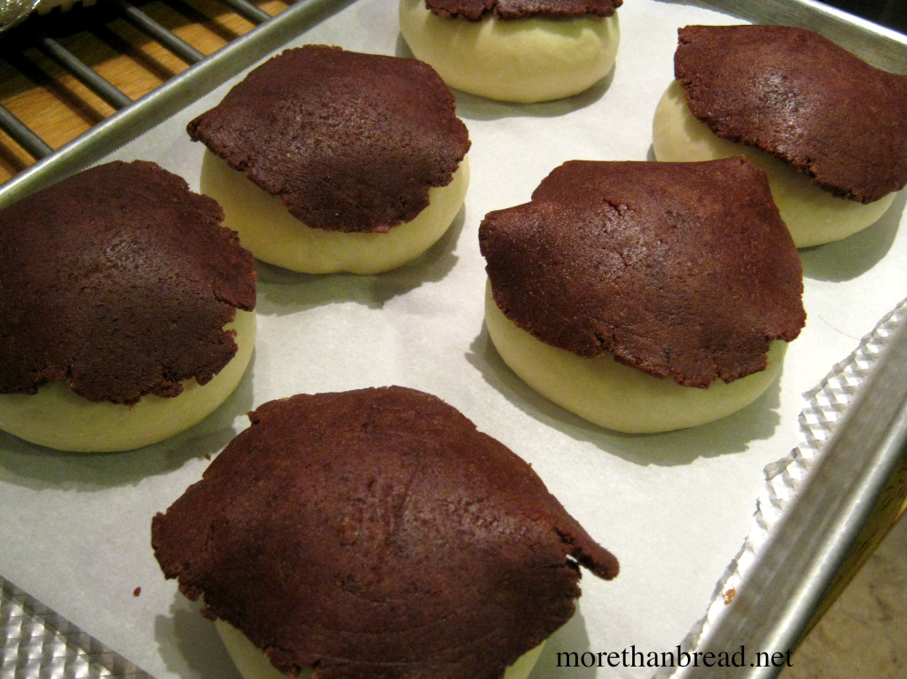 More Than Bread: Chocolate Bo Lo Bao 朱古力菠蘿包