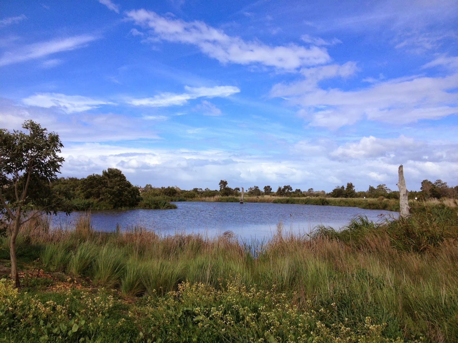 walkabouters club of victoria inc: Braeside Park - Edithvale-Seaford ...