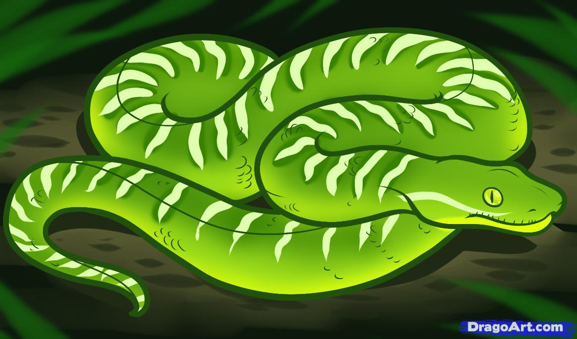 Guardianes de la Naturaleza: LECTURA No.04 BOA CONSTRICTOR