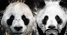 Desiigner - Panda Lyrics - BOSLYRICS