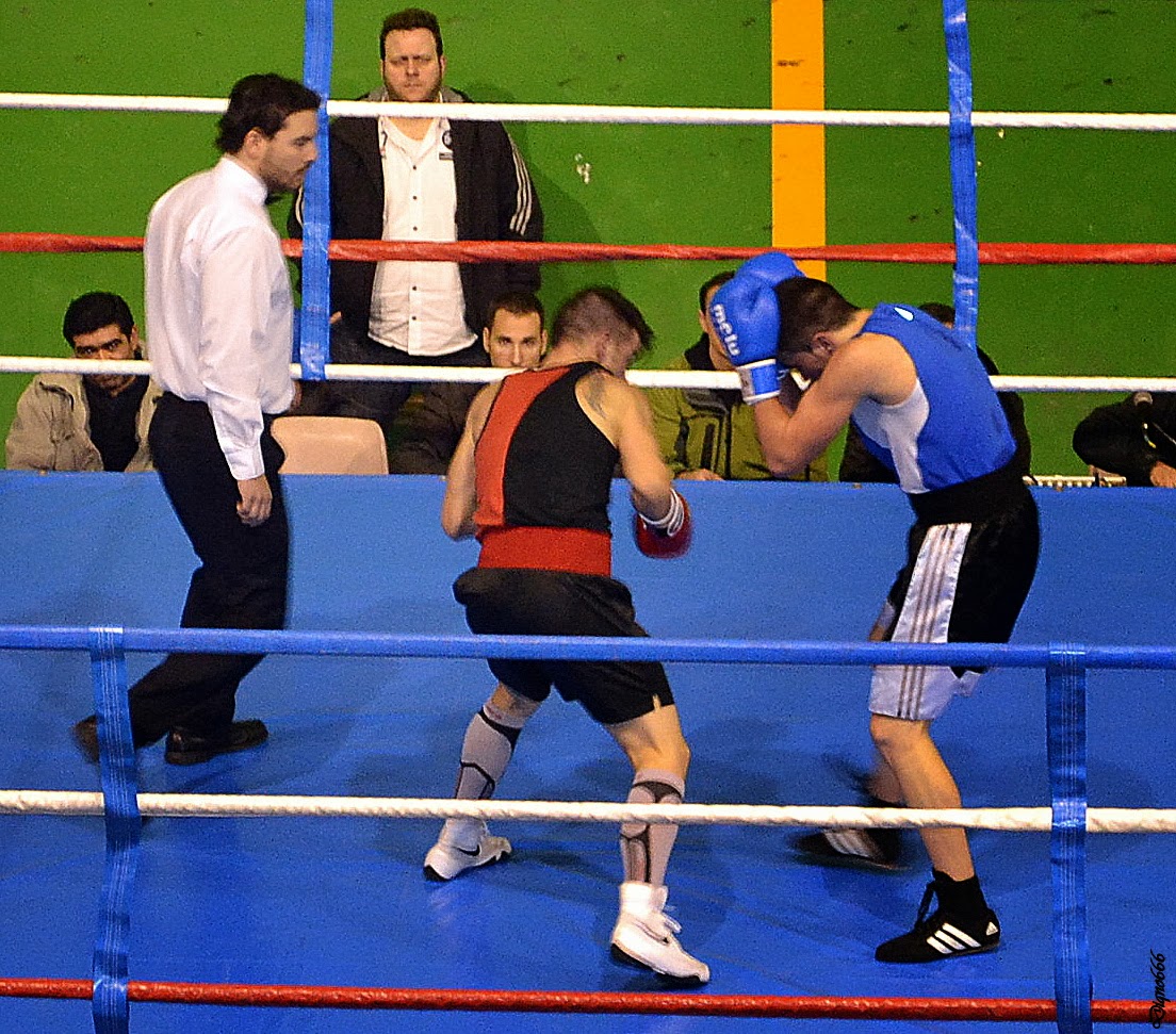 COMANDO ALCANTARILLA: [Fotos] Gran velada de boxeo de 8 combates ...