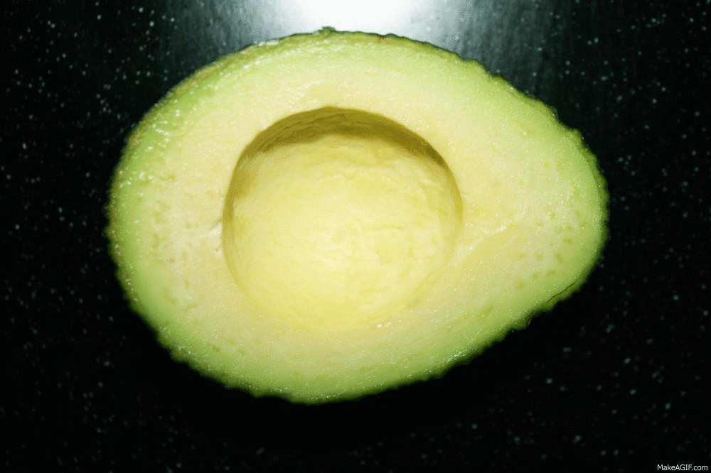 Galeri Pertanian / Perkebunan / Perikanan: Manfaat Apokat atau buah Alpukat