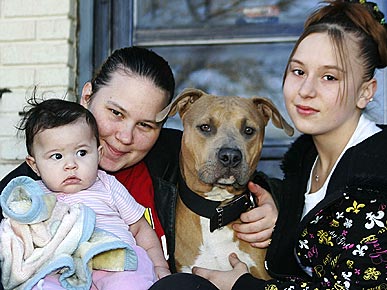 The Truth About Pit Bulls: Pit Bull Heroes