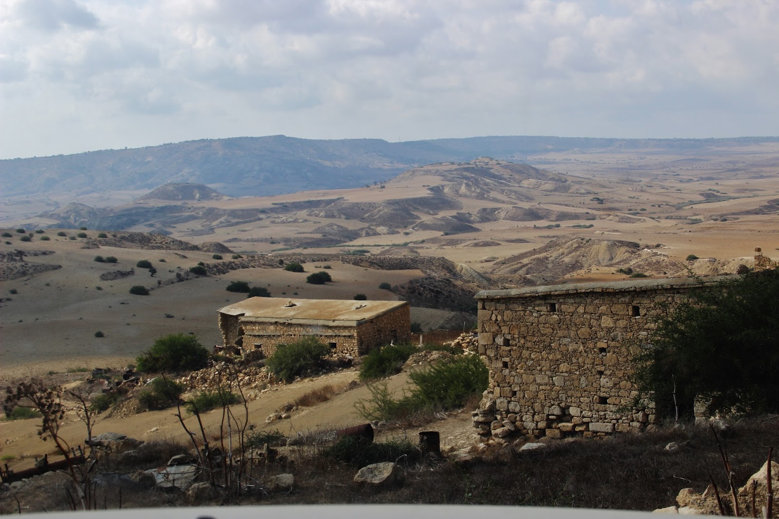 Biodiversity of Cyprus by NGO Protection of the Natural Heritage and ...