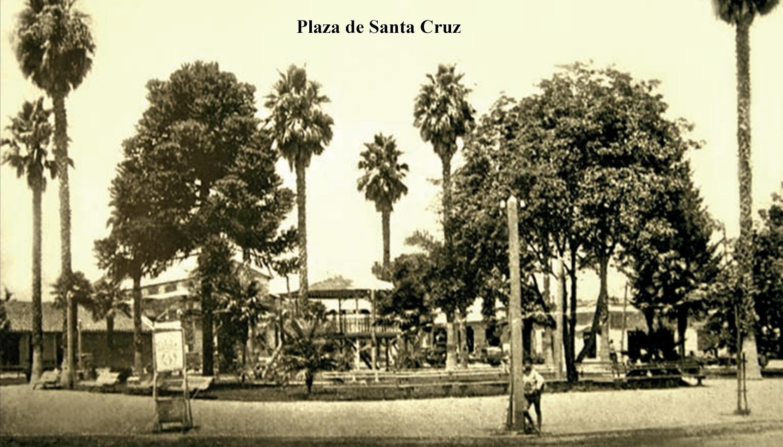 Imágenes de Chile del 1900: Teno, Santa Cruz, Chépica, Pumanque ...