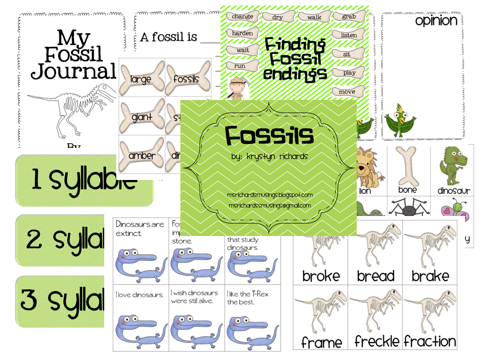 Ms. Richards's Musings: Fossils, Camouflage, and some Freebies